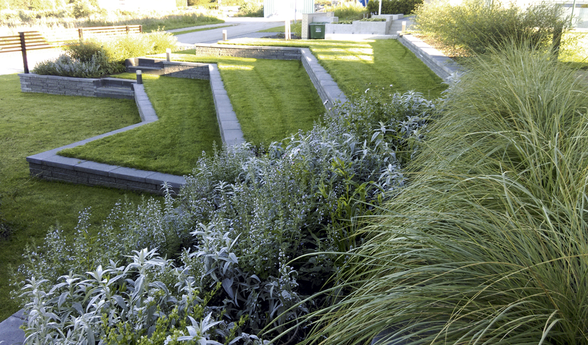 Praktilised nõuanded: kuidas aia kujundamisega algust teha? | kodus.ee