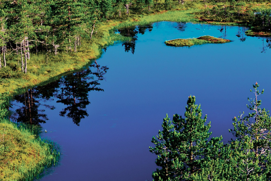 Rabataimede tõhus jõud kodumaises kosmeetikas | kodus.ee