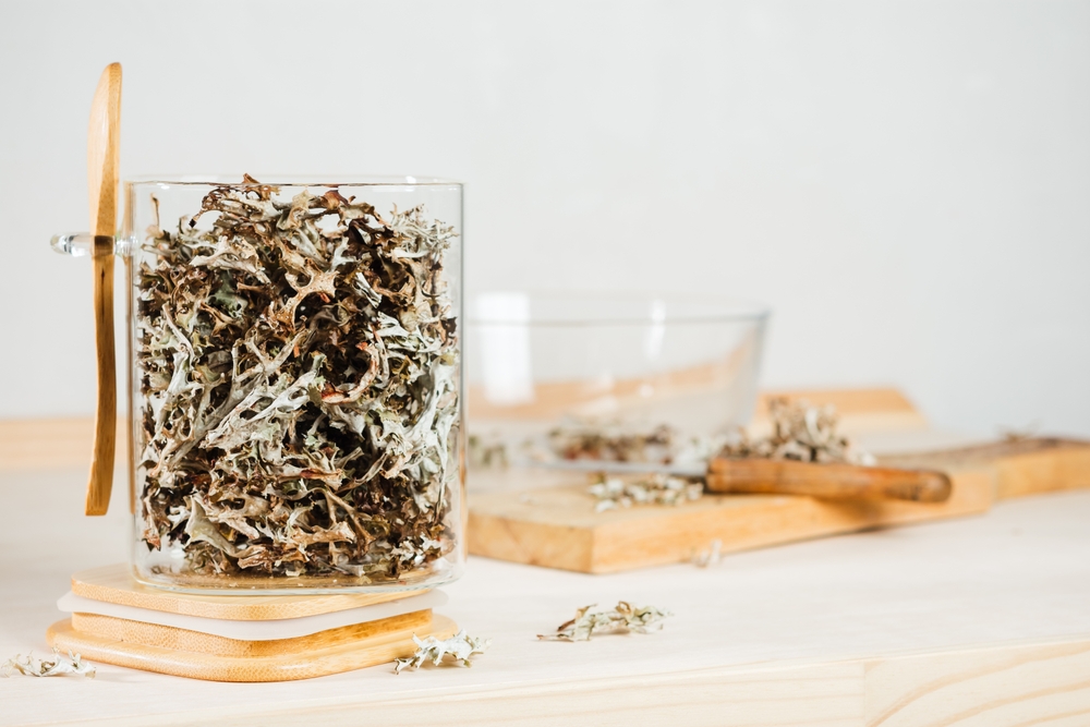 Islandi samblik köhale ja kehale | kodus.ee