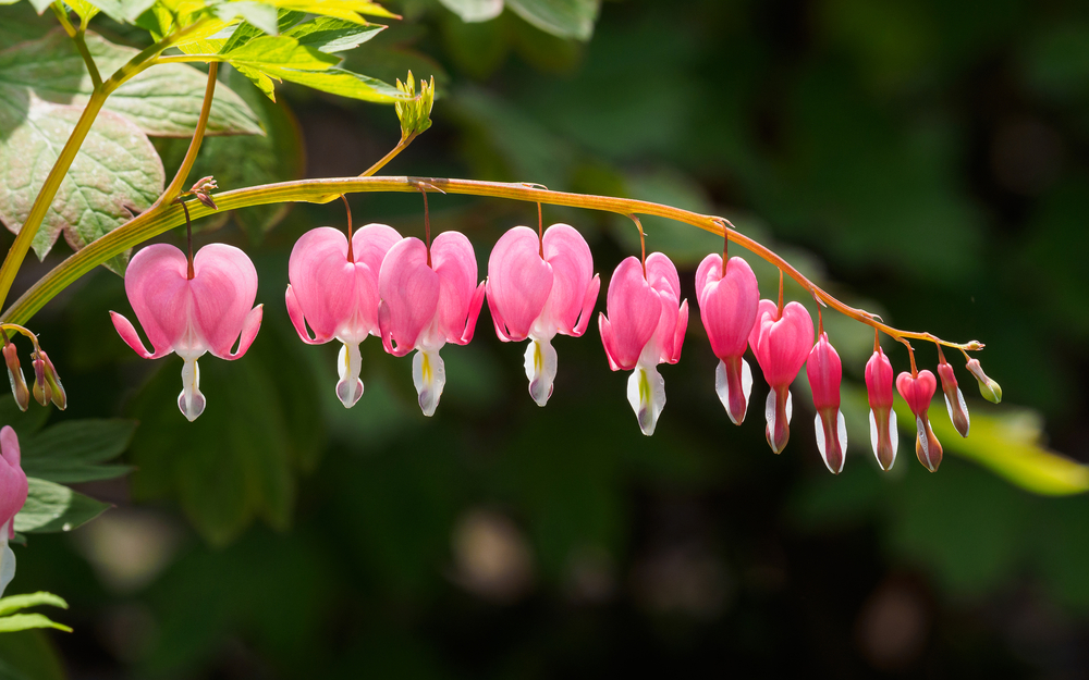 Taluaed on taas moes | kodus.ee